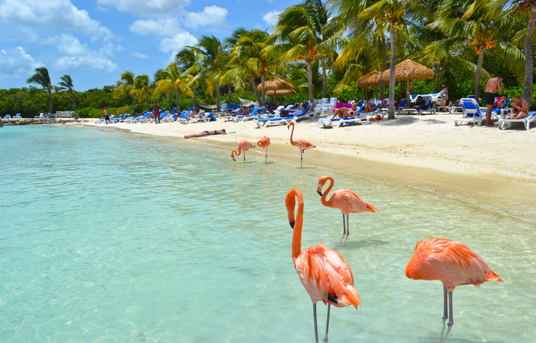 Gastronomia | Wiki @Ahoba ViagensWiki @Ahoba Viagens