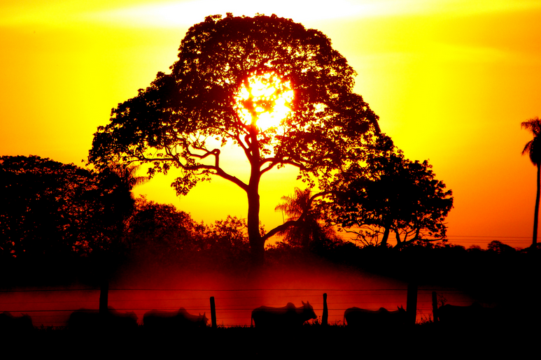 Gastronomia | Wiki @Ahoba ViagensWiki @Ahoba Viagens